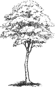 Historia Hiper Usera - 35 Años a tu Lado